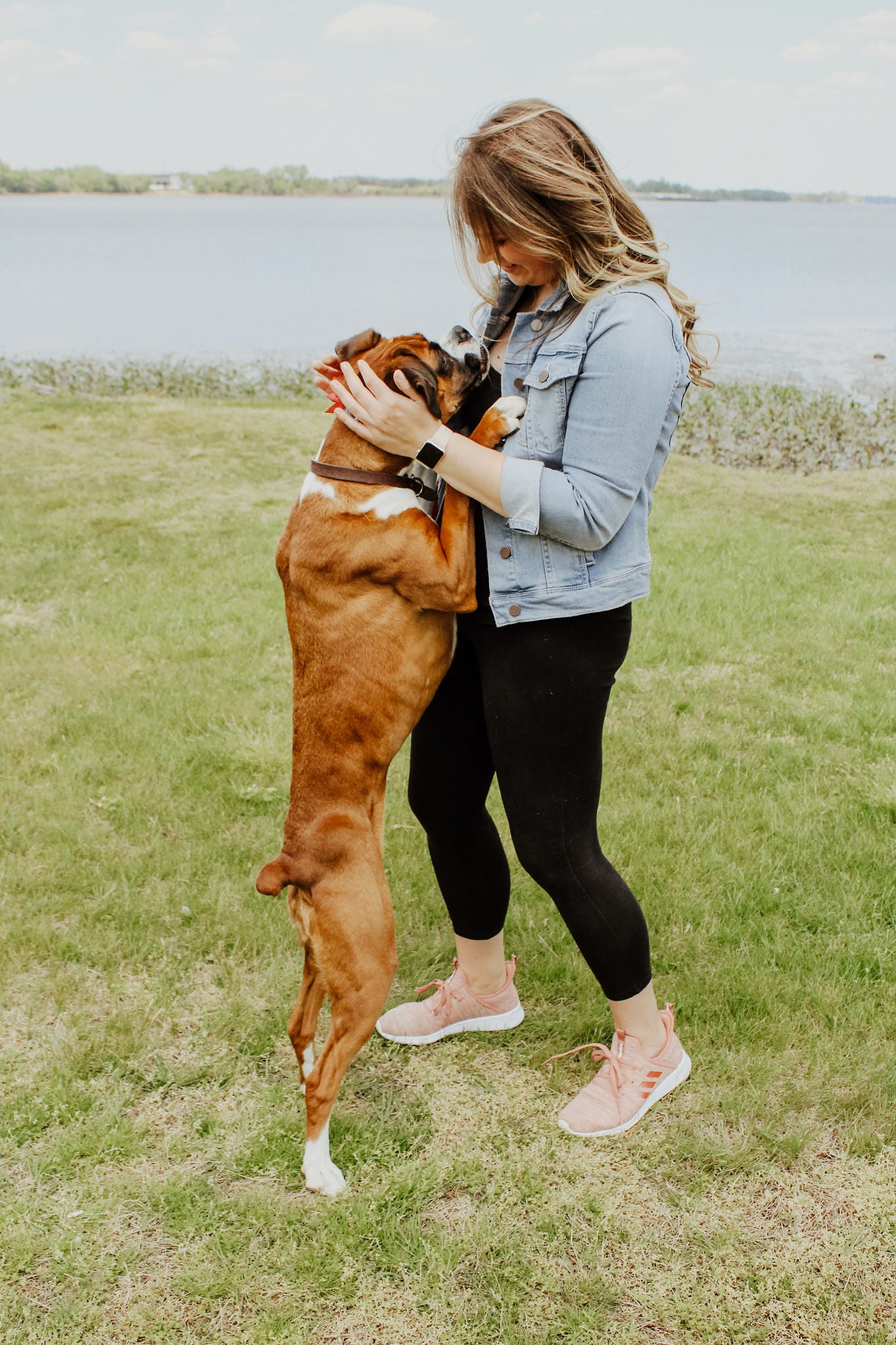 Puppy Basics Course Sign Up | Everywhere Dog